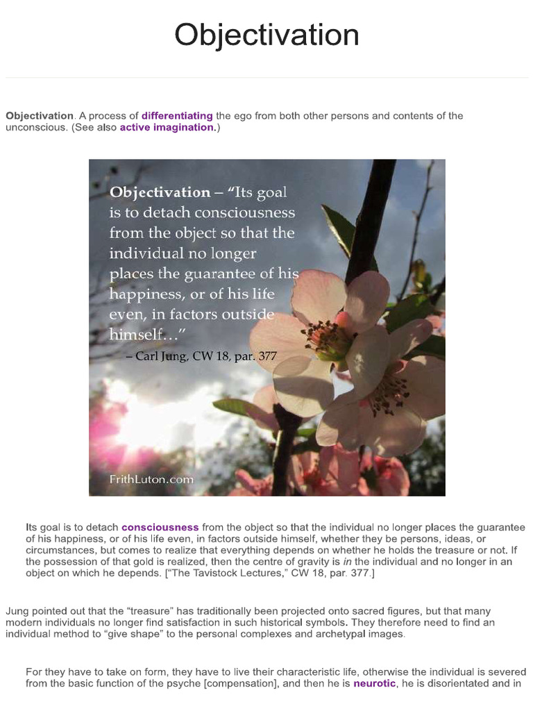 !objectivation Jung | PDF