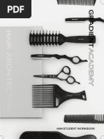 Pravana Chromasilk QuickStart Guide | PDF