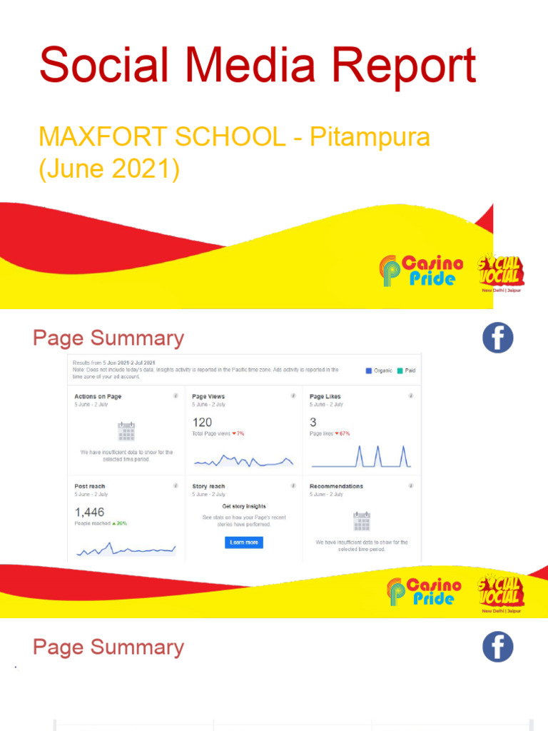 Social Media Report | PDF