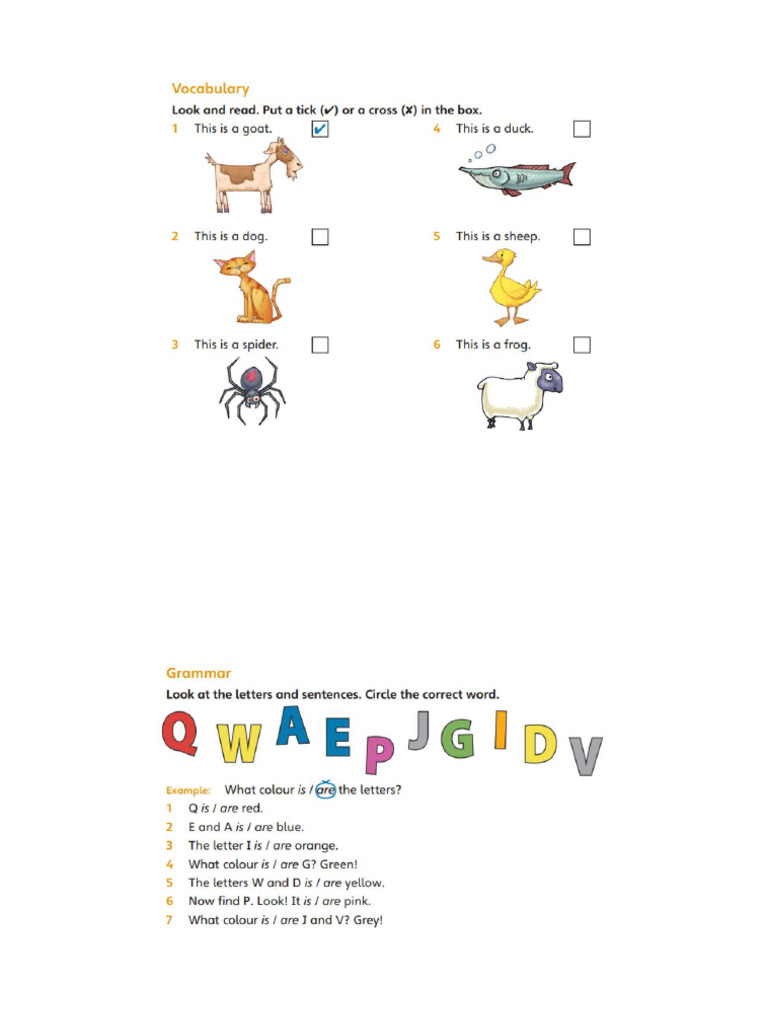 Extra Worksheets | PDF