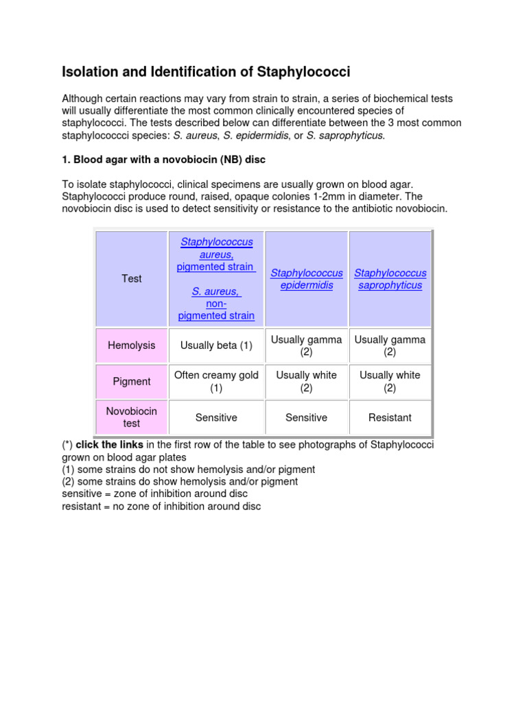 Isolation and Identification of Staphylococci | PDF | Staphylococcus ...