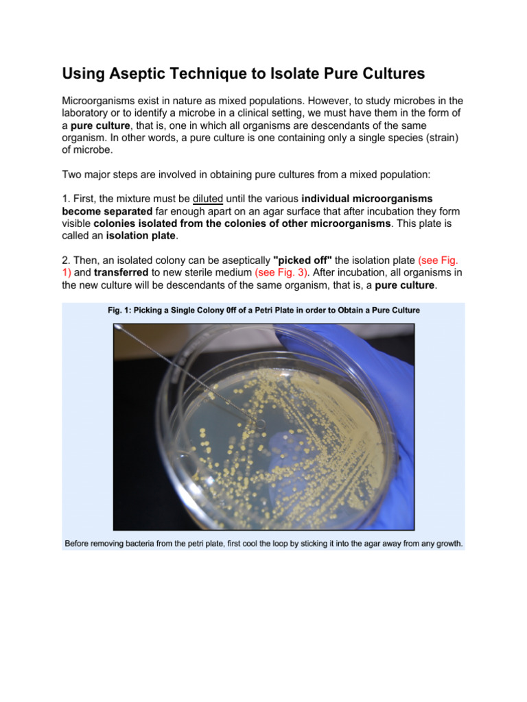 Using Aseptic Technique to Isolate Pure Cultures | Download Free PDF ...
