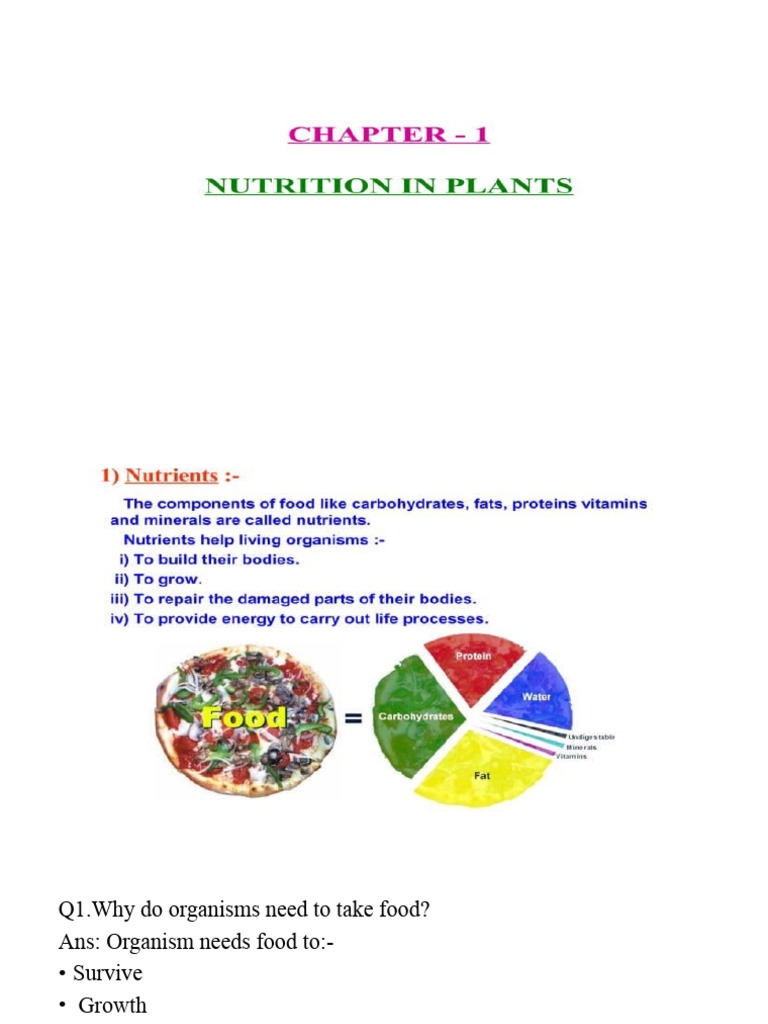 7th Class Part 2 | PDF