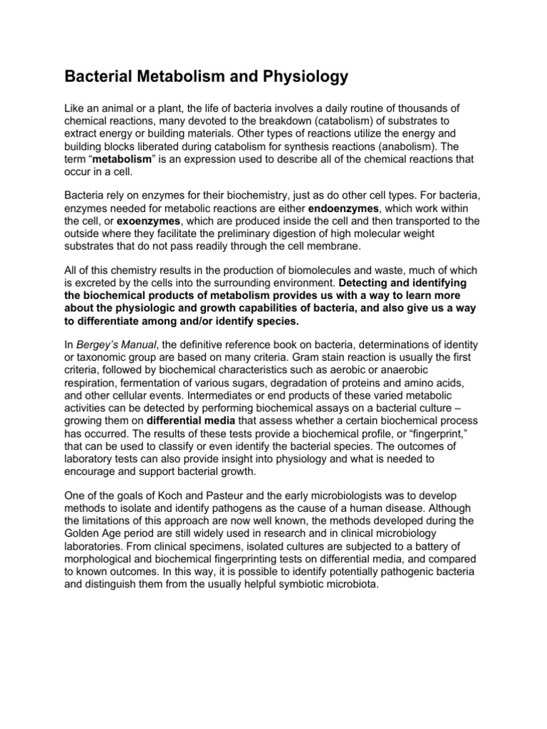Bacterial Metabolism And Physiology Pdf Cellular Respiration