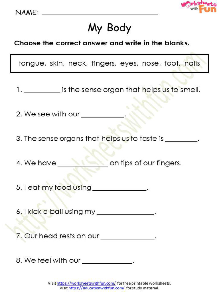 My Body Worksheet 3 | PDF