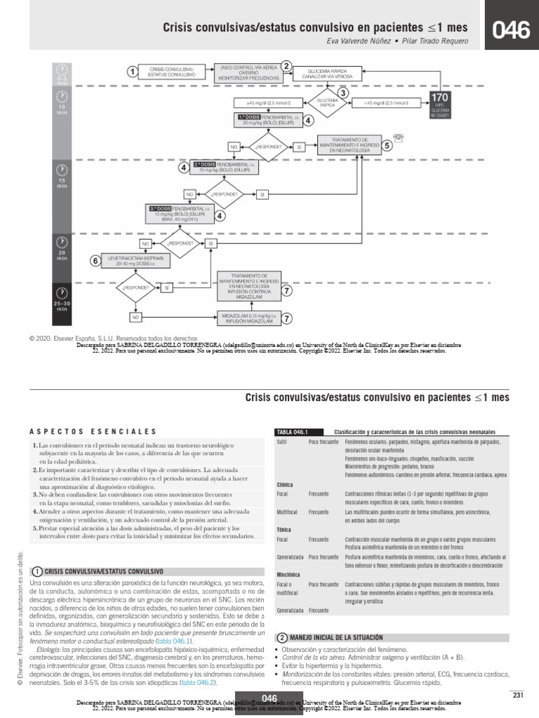 Crisis Convulsivas Estatus Convulsivo en Pacientes 1 Mes | PDF ...