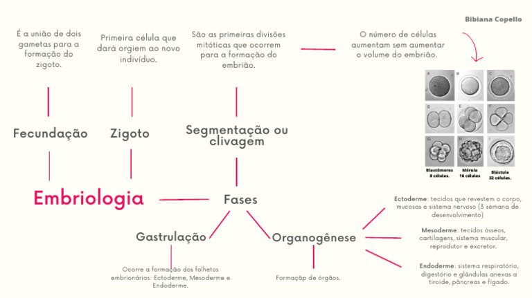 Mapas Mental Embriologia | PDF | Mudança | Biologia