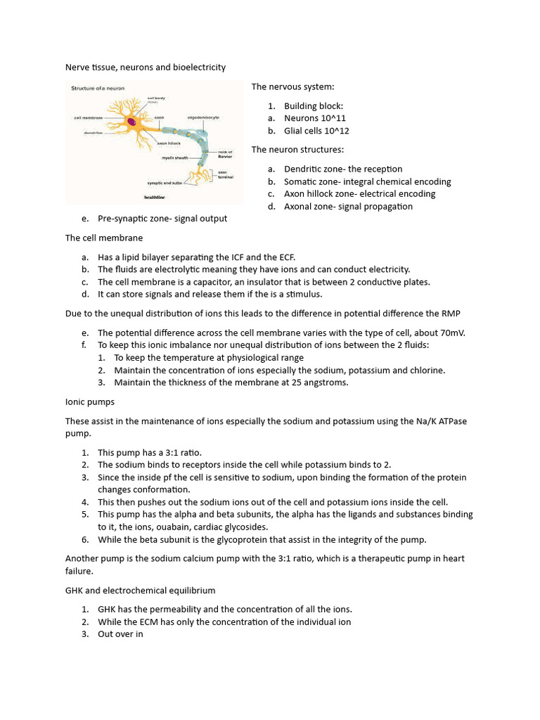 Nerve Physiology | PDF | Stimulus (Physiology) | Neuron