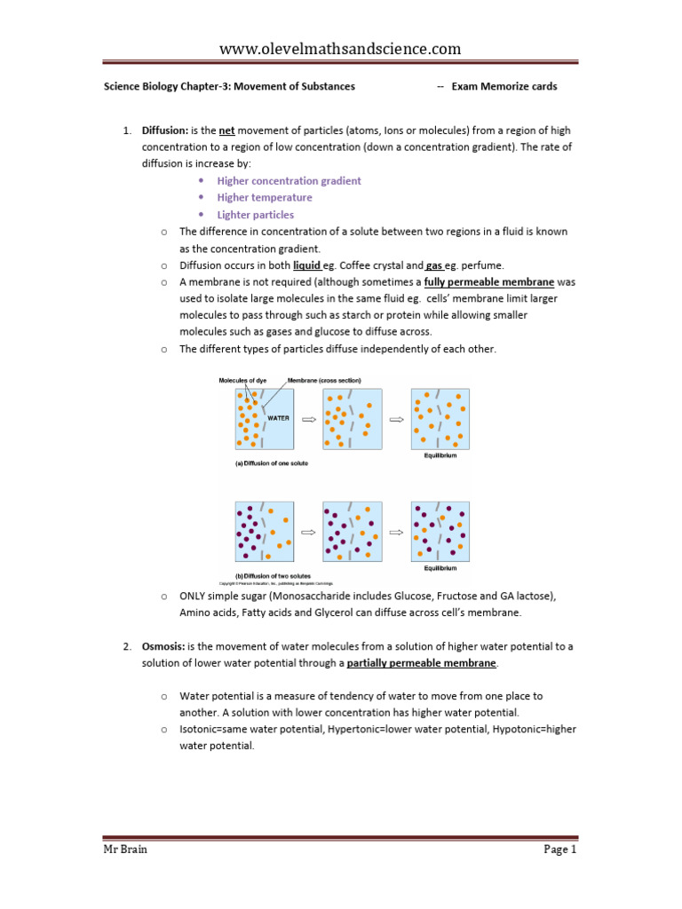 Biology: Movement of Substances Explained | PDF | Cell Membrane | Osmosis