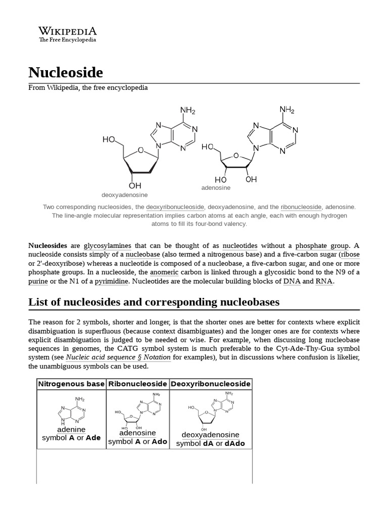 Nucleoside | PDF | Nucleotides | Biotechnology
