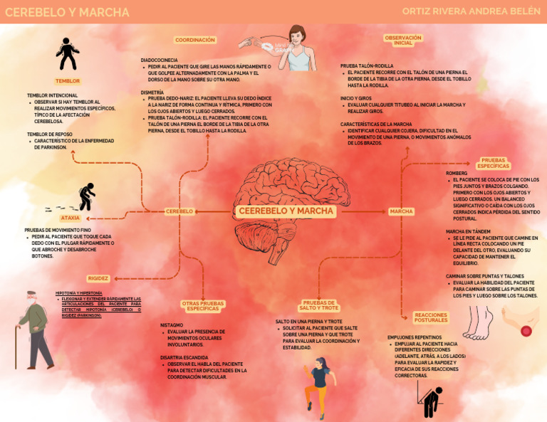 Cerebelo y Marcha | PDF | Enfermedad de Parkinson | Rodilla