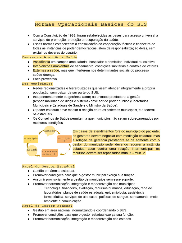 Normas Operacionais Básicas do SUS RESUMO | Download grátis PDF ...