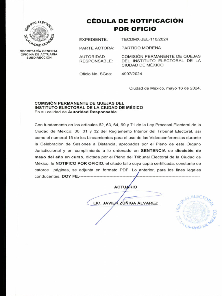 Tecdmx-Jel-110-2024 Comision Iecm | PDF