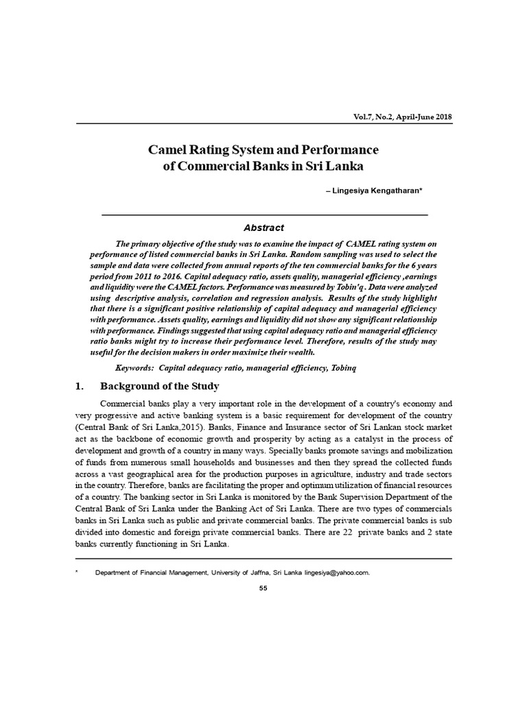 CAMEL Rating system | Download Free PDF | Banks | Private Sector