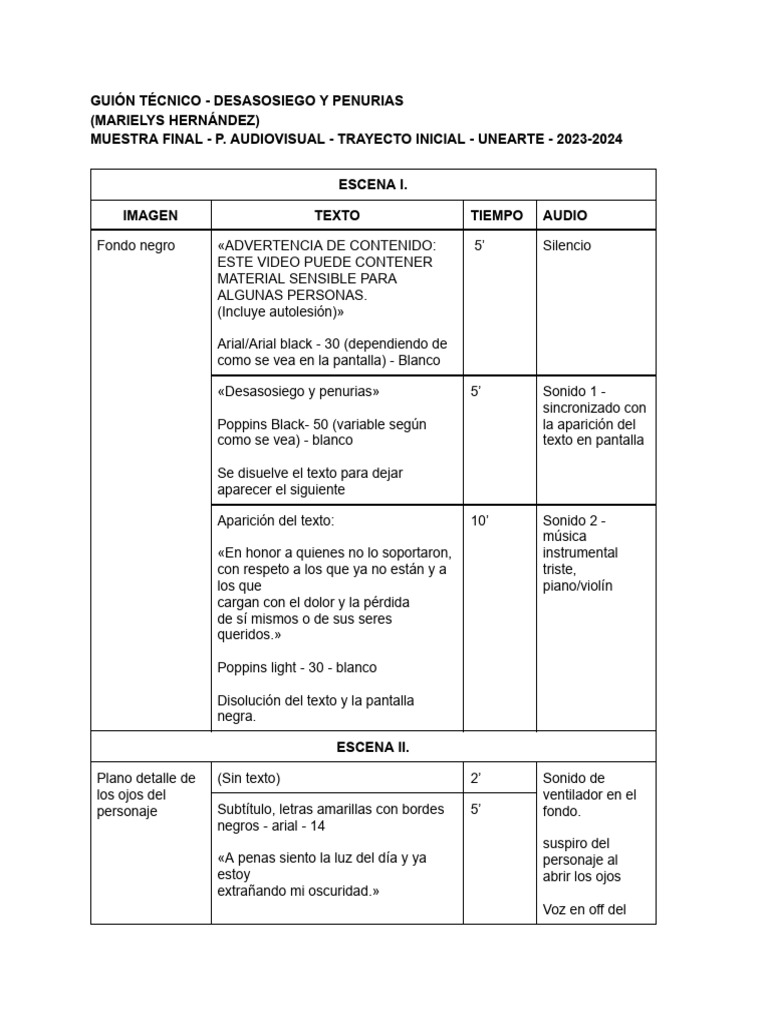 Guión Técnico - DyP | PDF