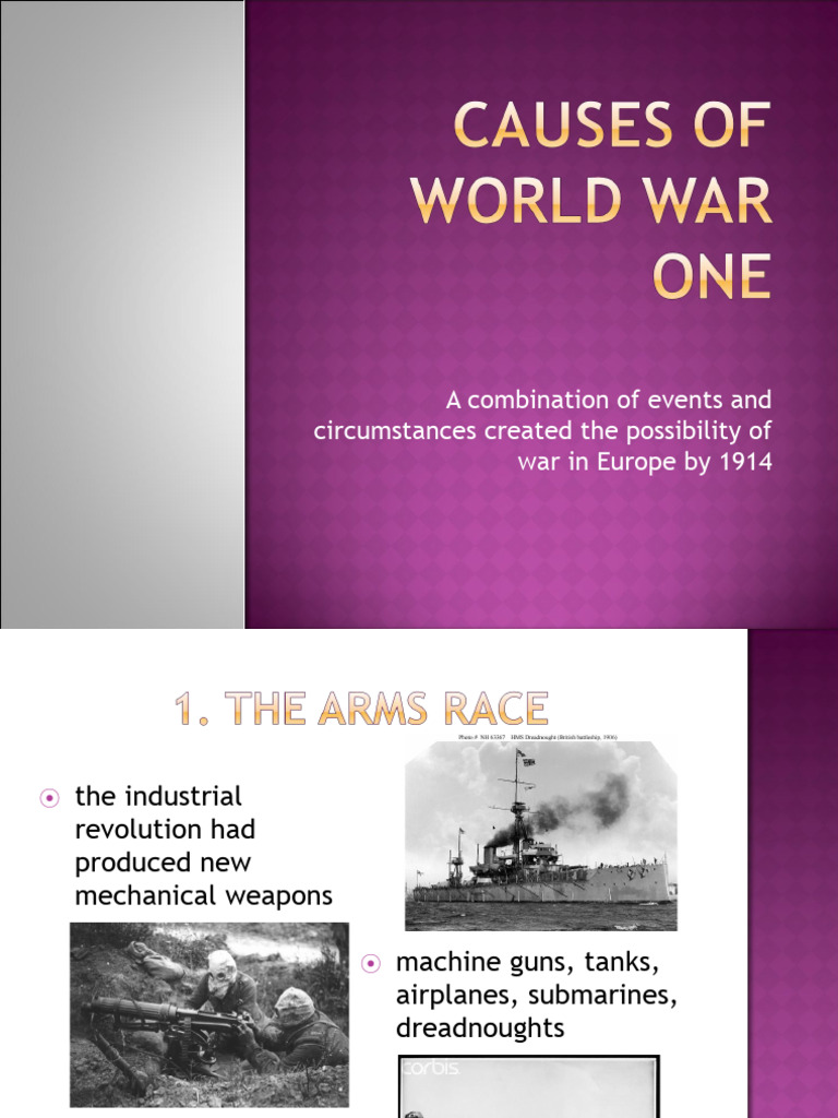 Causes of WWI | PDF