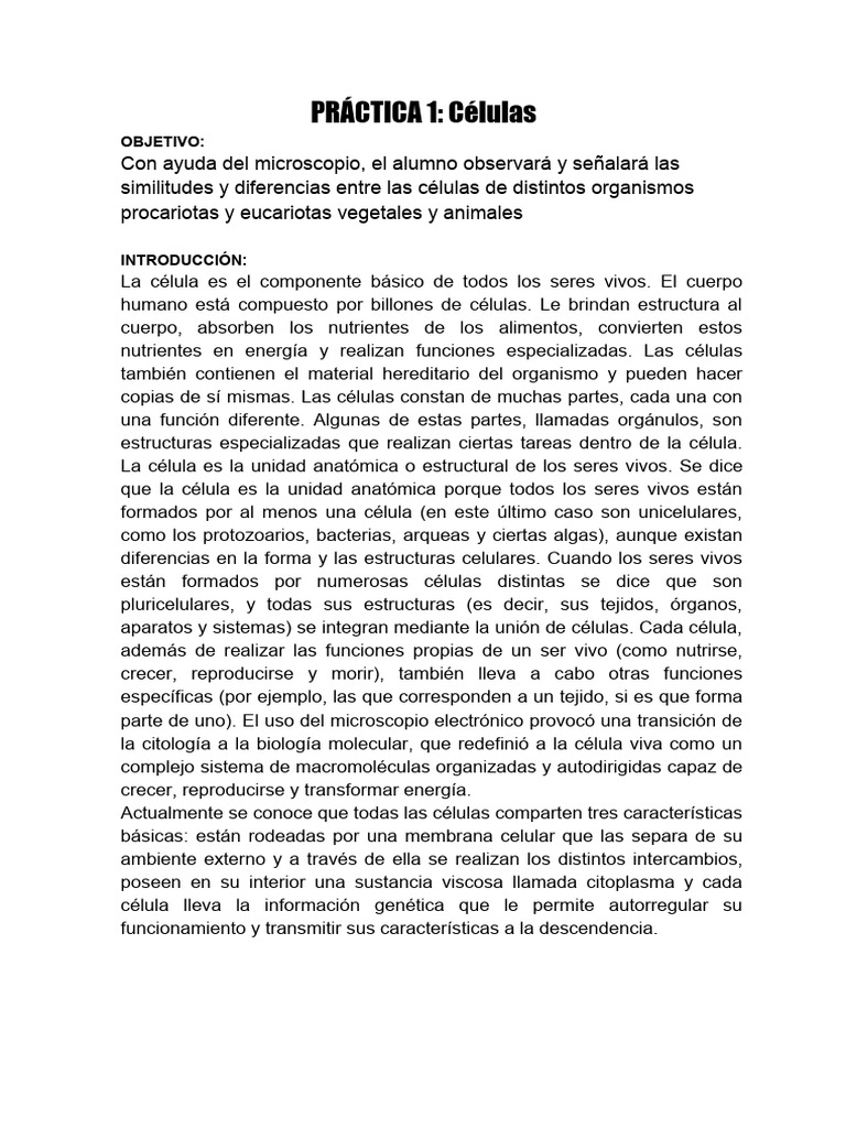 Practica 1.celulas | PDF | Biología Celular) | Organismos