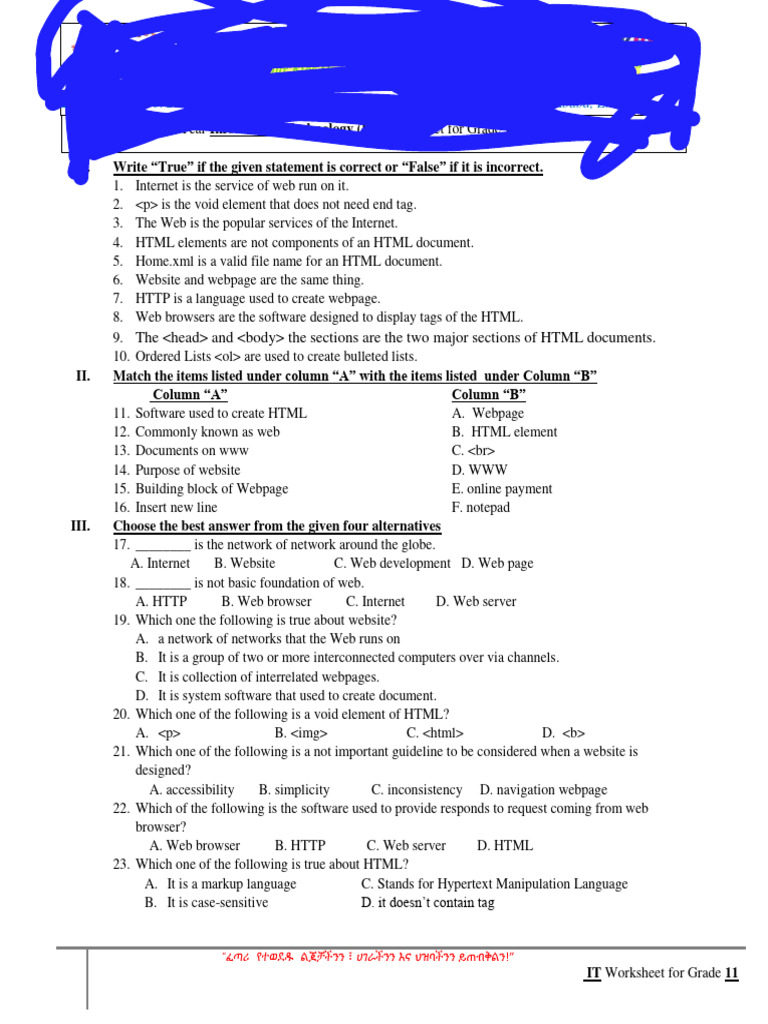 Grade 11 IT Worksheet: HTML Basics | PDF | World Wide Web | Internet & Web