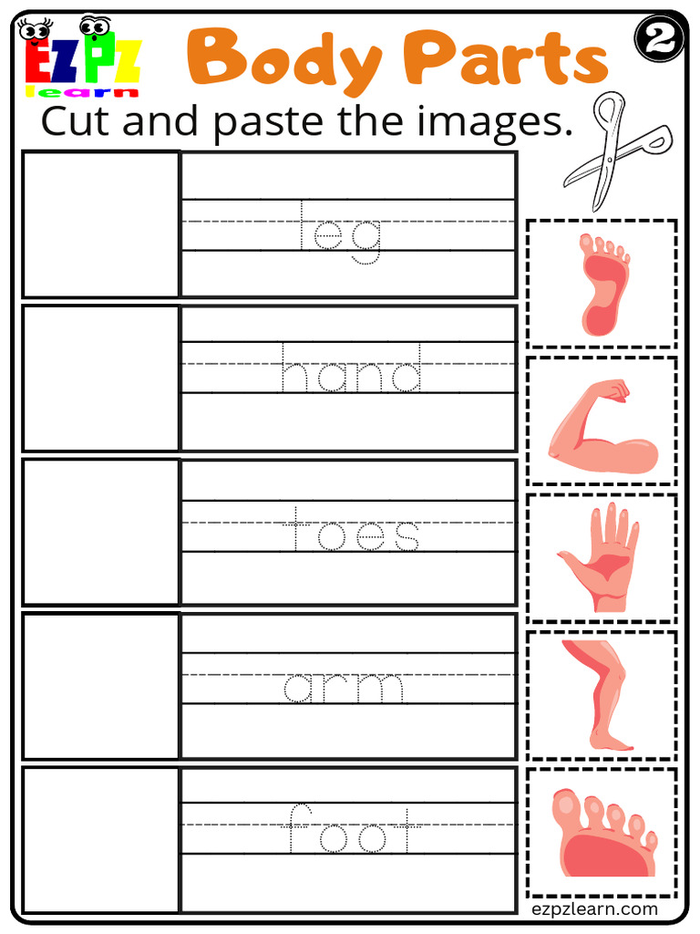 2 Body Parts Cut and Paste | PDF