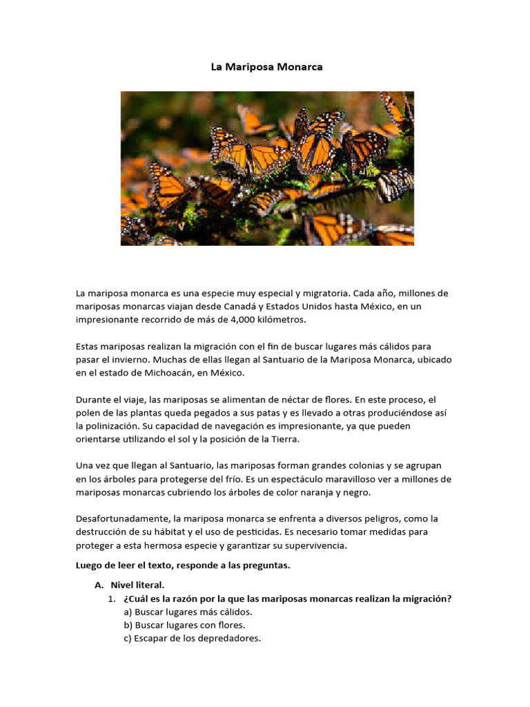Comprension Lectora - La Mariposa Monarca - Sexto | PDF | Lepidópteros ...