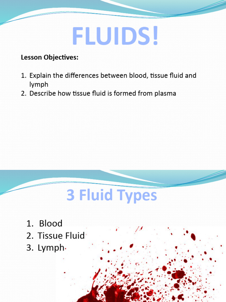Blood, Tissue Fluid and Lymph 1 | PDF | Lymph | Capillary