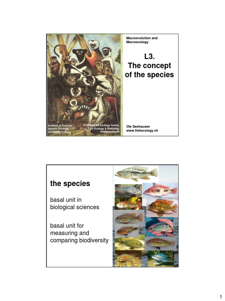 L3 The Concept of The Species 2006 | PDF | Species | Evolution