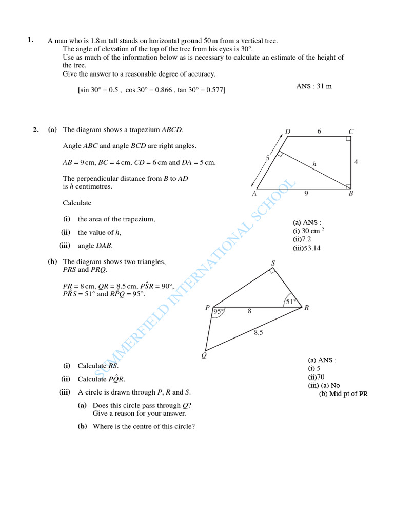 Trigonometry Worksheet Maths D | PDF | Elementary Mathematics | Euclidean Plane Geometry