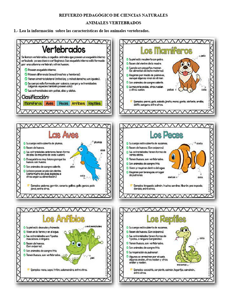 Refuerzo Ciencias Naturales | PDF | Invertebrado | Vertebrados