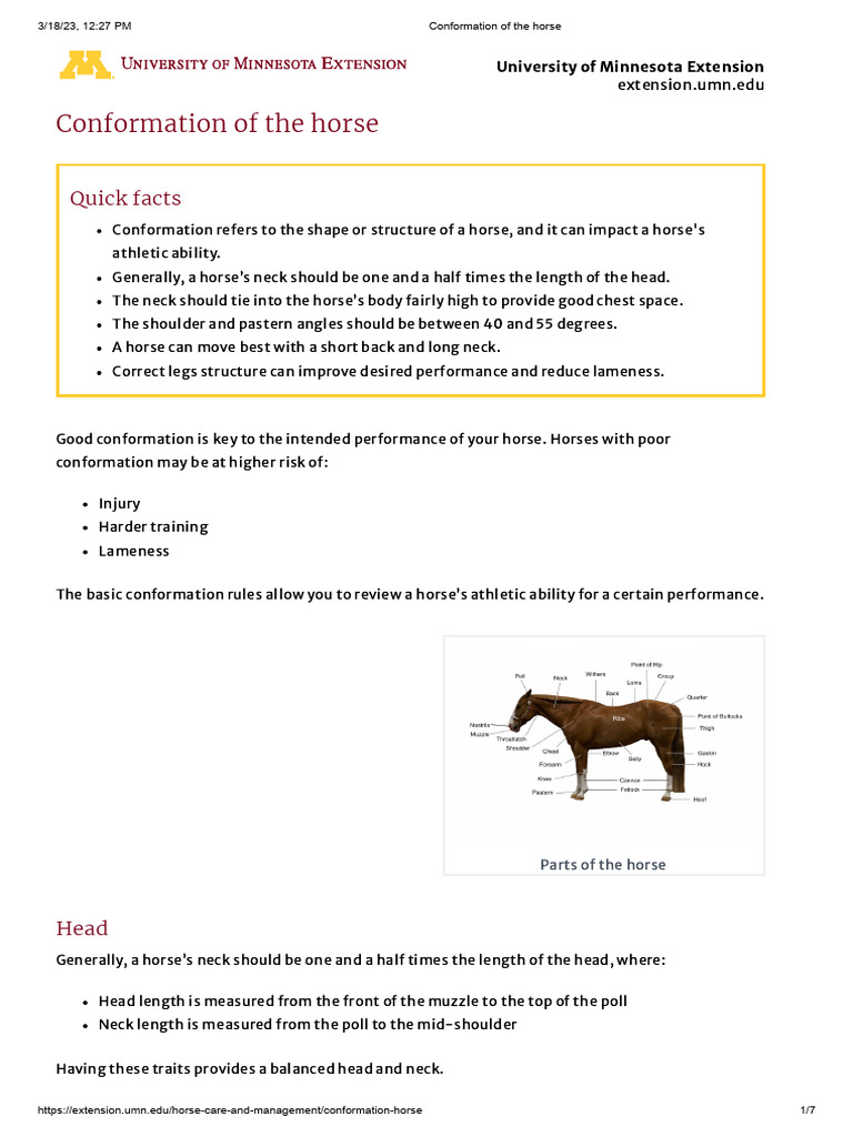 Understanding Horse Conformation Basics | PDF | Horses | Equus (Genus)