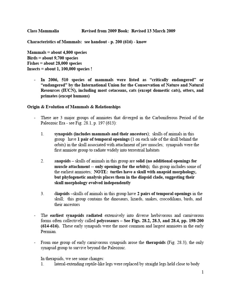 MAMMAL NOTES Totally Final 13mar09 | PDF | Homo | Mammals