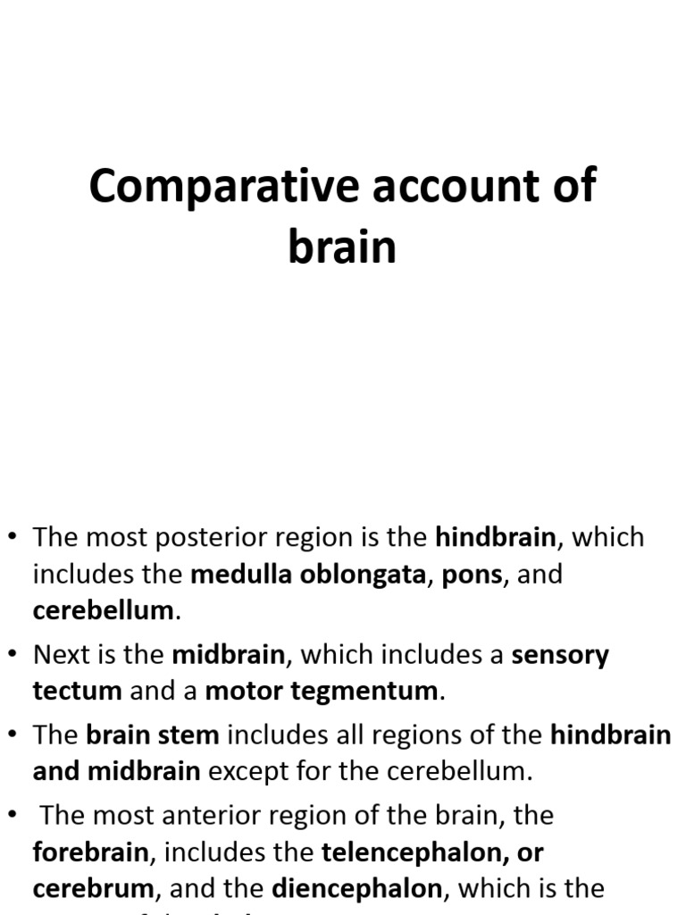 Compatative Anatomy and Developmental Biology Comparative Account of ...