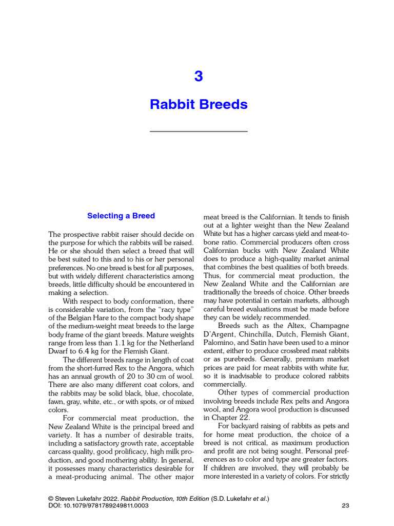Breeds of Rabbit | PDF | Lagomorphs | Mammals As Pets