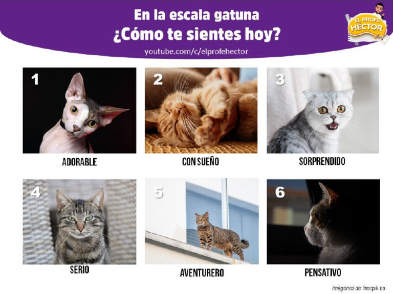 Cómo Me Siento Hoy (ElprofeHéctor) 3 | PDF