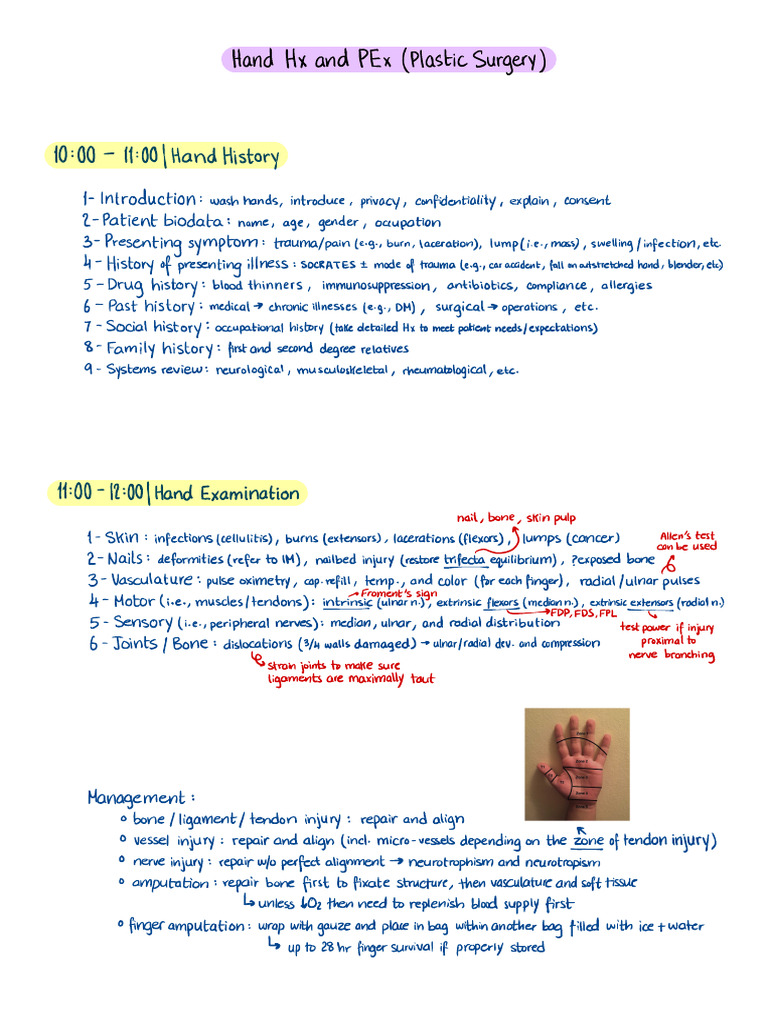 Hand HX & PEx - M1 (Plastic Surgery) | PDF | Finger | Tendon