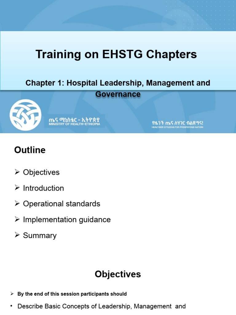 Chapter 1 HLMG | PDF | Governance | Leadership