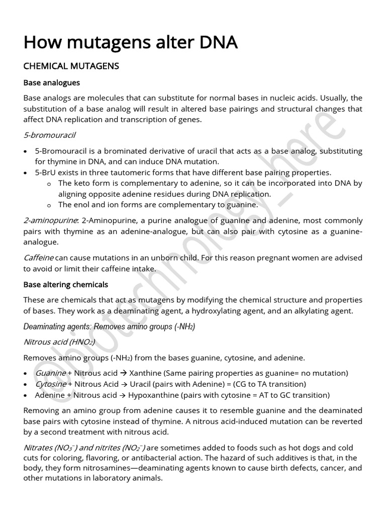 How Mutagens Alter DNA | Download Free PDF | Dna | Base Pair