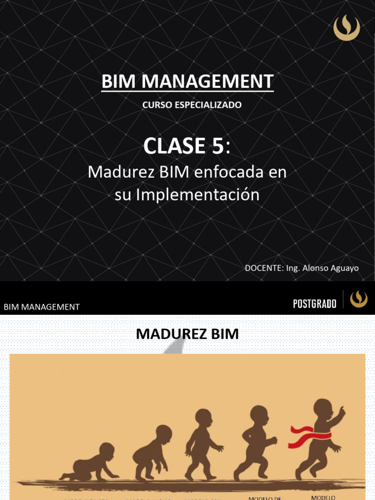Bim Management | PDF