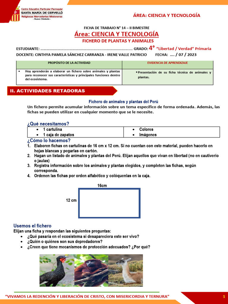 Ficha de Trabajo N 13 Fichero de Plantas y Animales | PDF | Plantas