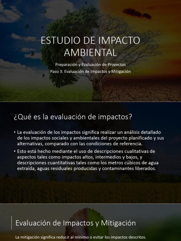 09 Estudio de Impacto Ambiental | PDF | Evaluación de impacto ambiental | Entorno natural