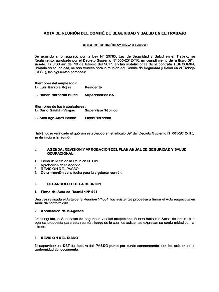 Acta Reunión Comité Seguridad y Salud | PDF