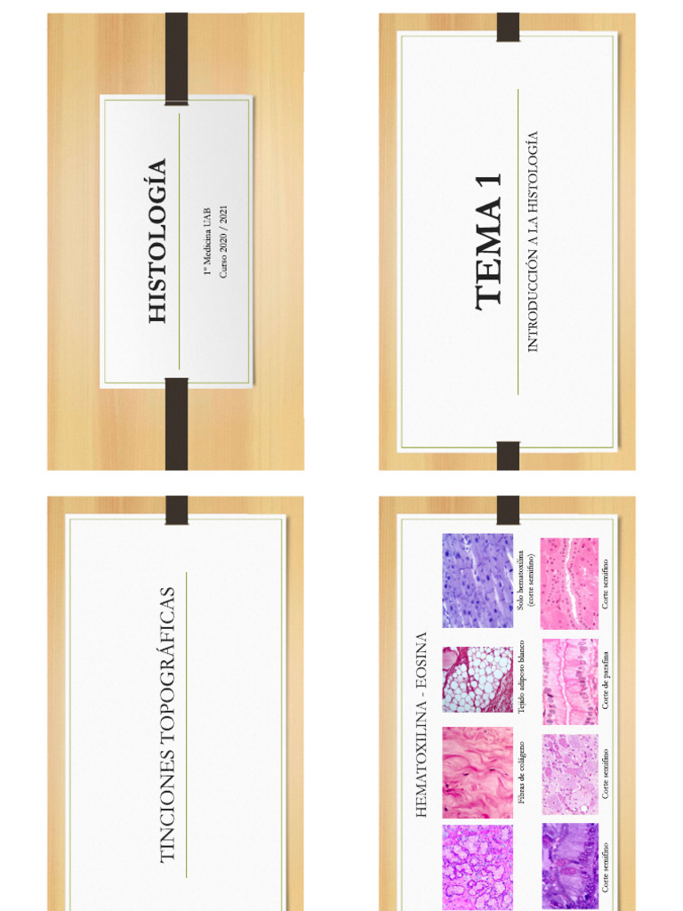 Imatges Histo 2 en 1 | PDF