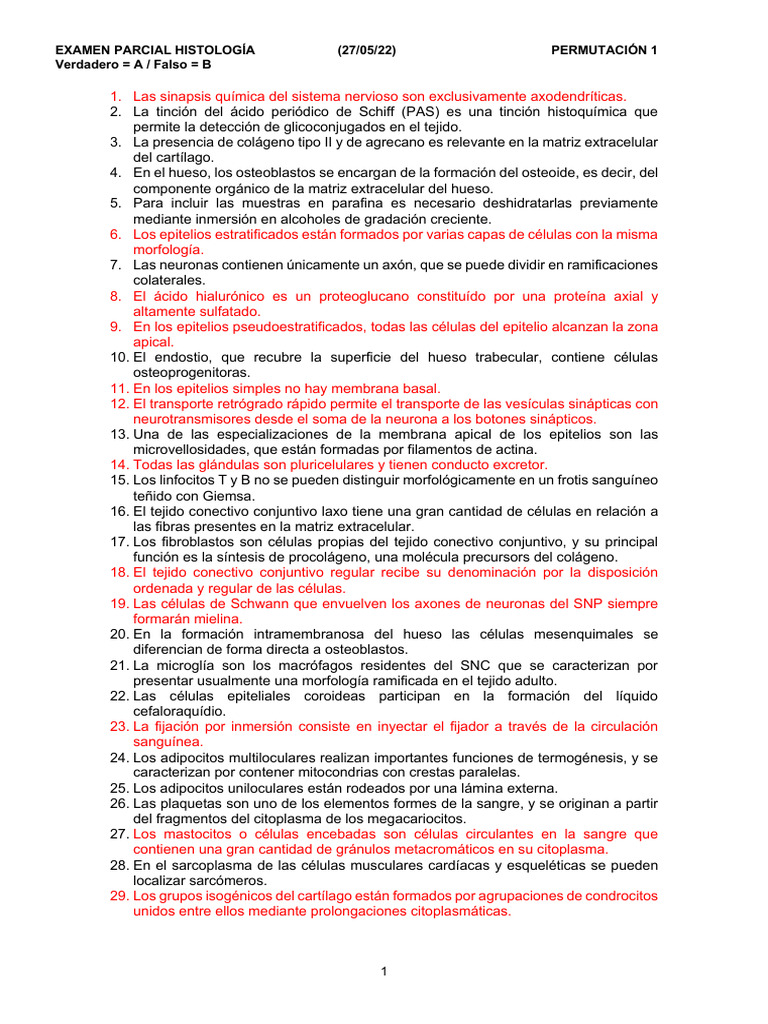 Examen - P1 CORREGIT | PDF | Hueso | Epitelio