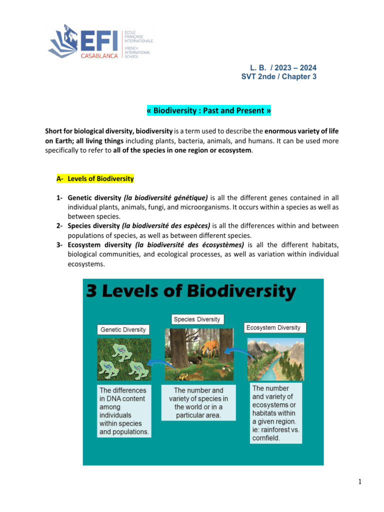 Chapter3 Lesson, Biodiversity | Download Free PDF | Biodiversity | Species