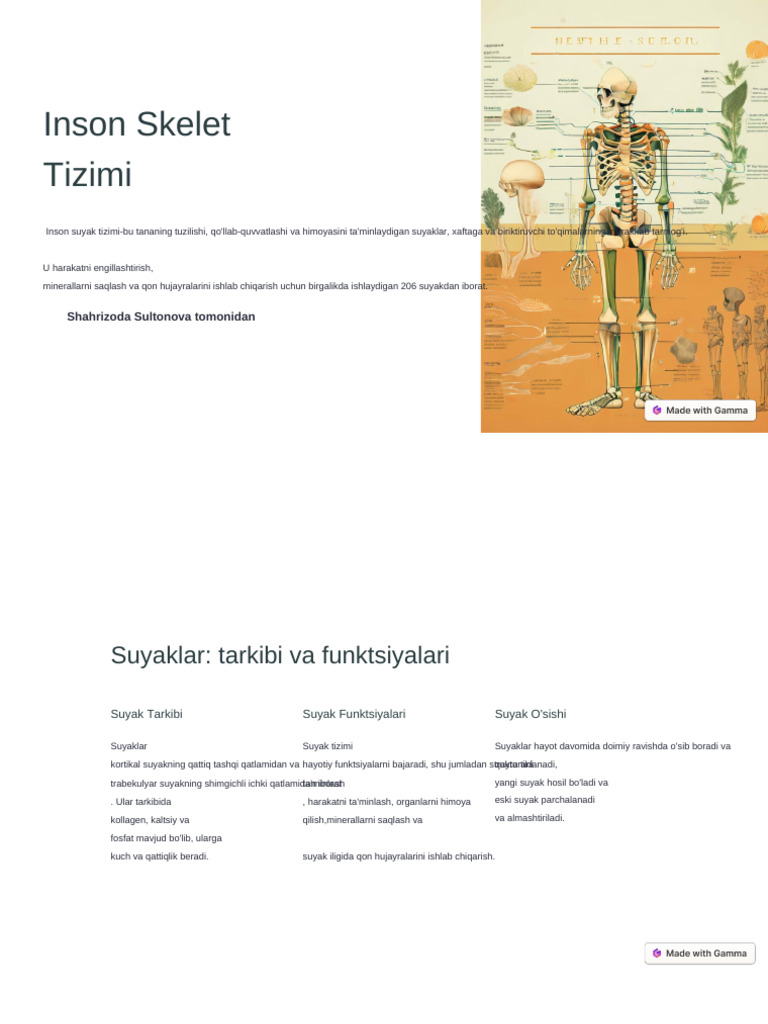 The Human Skeletal System (1) | PDF