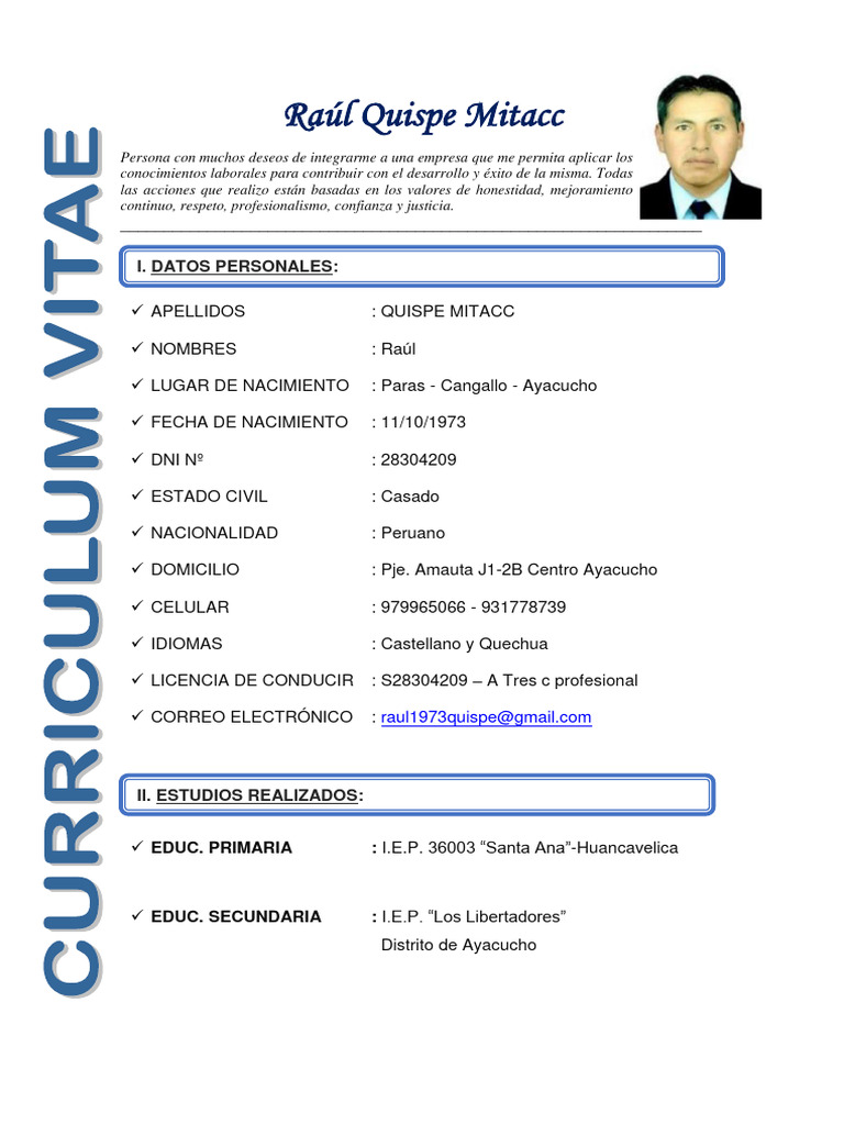 CV Raul | PDF | Negocios | Tecnología