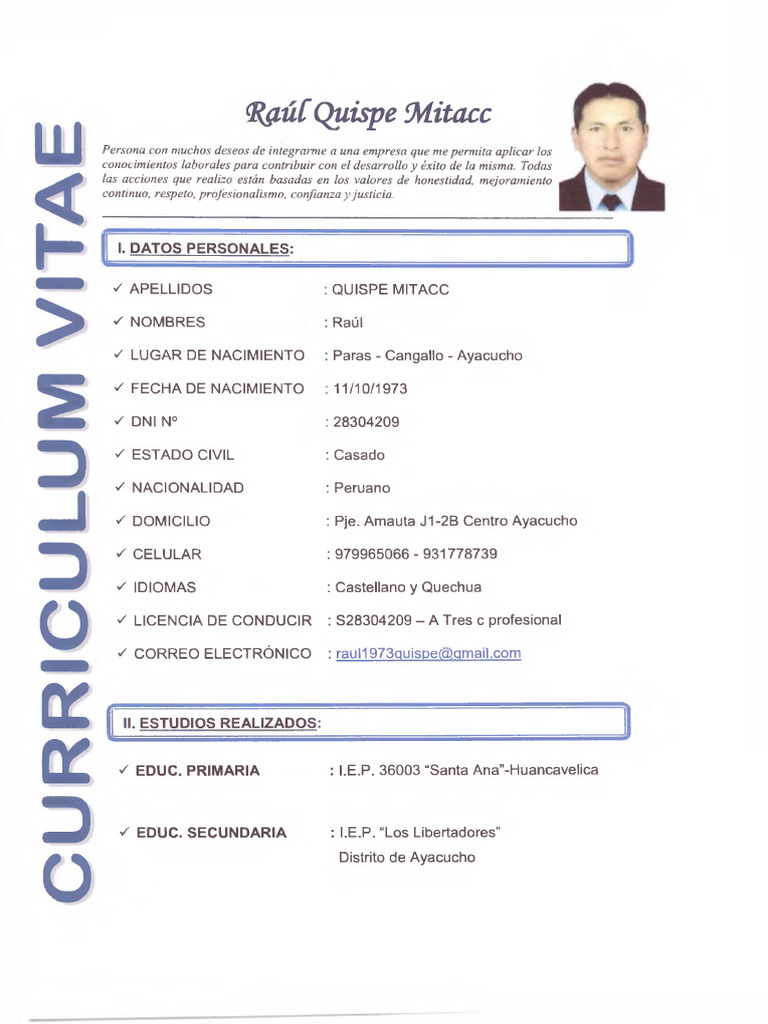CV Raul 2024 | PDF