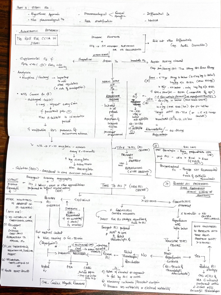 ACS-STEMI MX | PDF