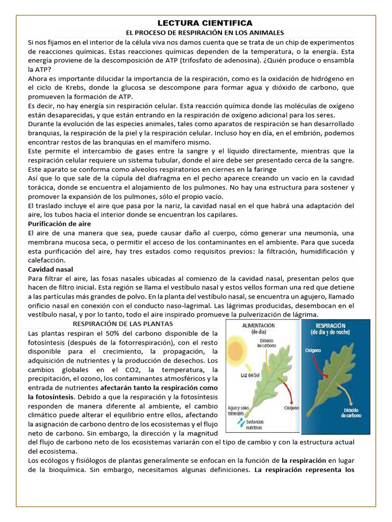 Lectura Cientifica N 3 Segun | Descargar gratis PDF | Respiración ...