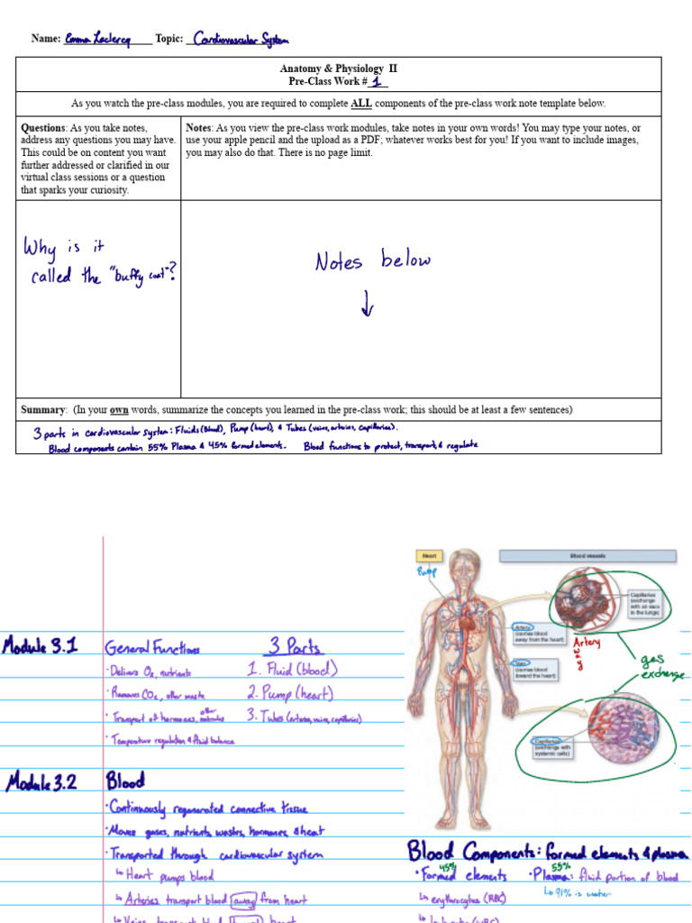 AP 2 PCW #1 - Cardiovascular - Module 3.1 & 3.2 | PDF | Blood | Red ...