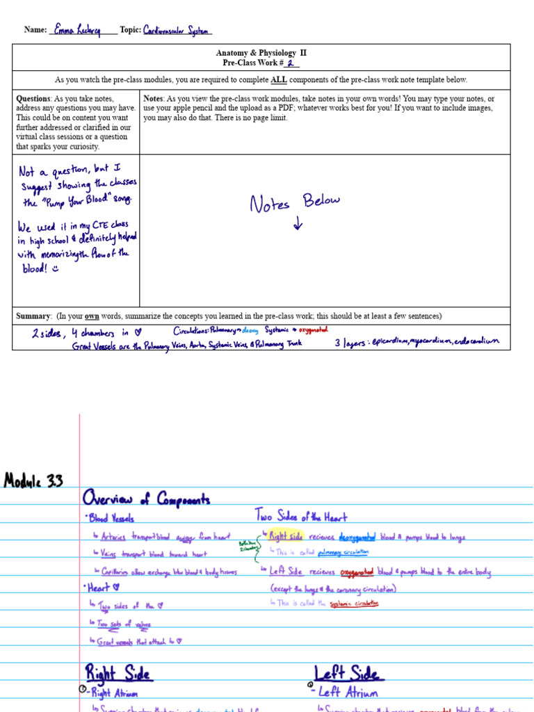 AP 2 PCW #2 - Cardiovascular - Module 3.3-3.6 | PDF | Heart | Atrium (Heart)